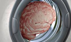 Psychologist World | Psychology News, Tests, Theories and Guides